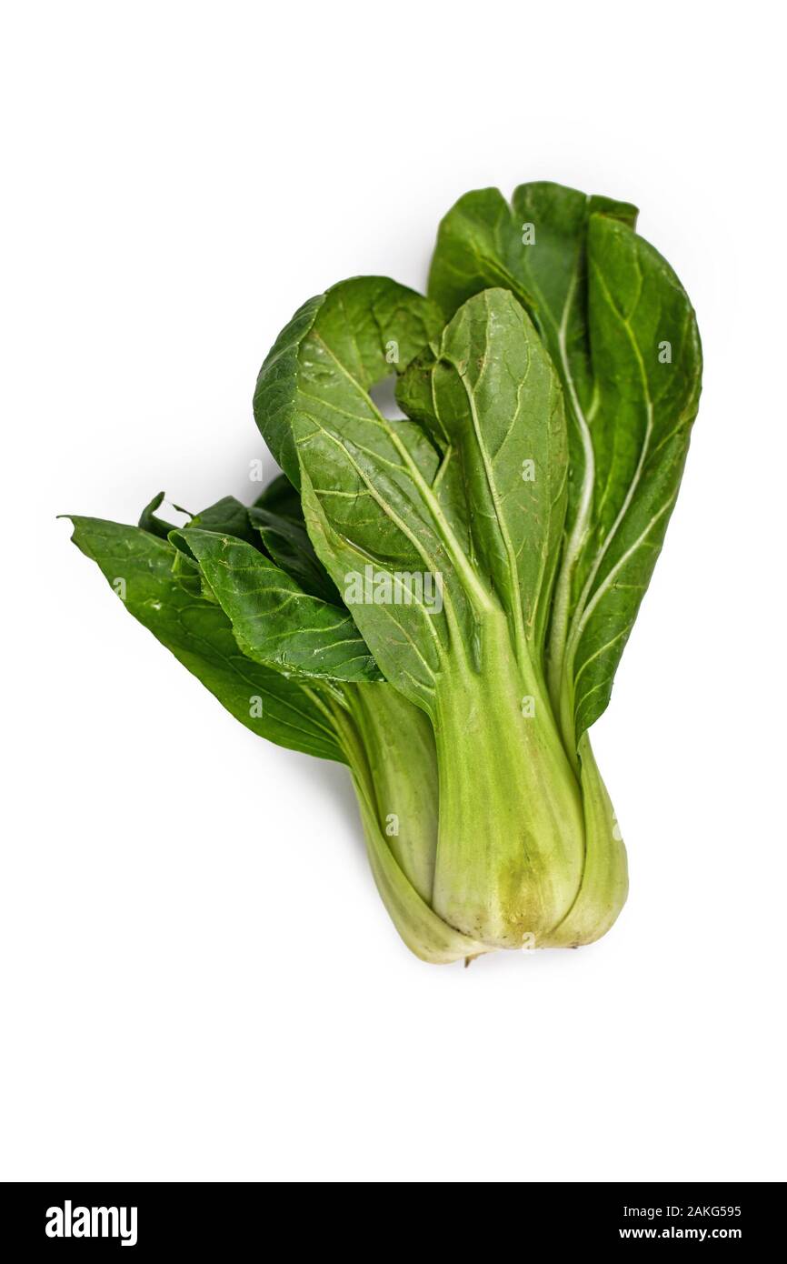 Raw Shanghai Pak Choi chinese cabbage vegetable on white background ...