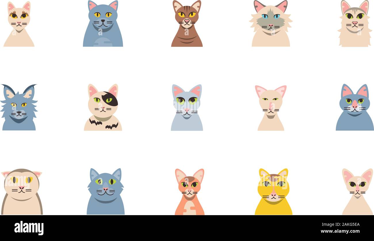 Set of cute cats cartoons design, Animal pet kitten domestic feline ...