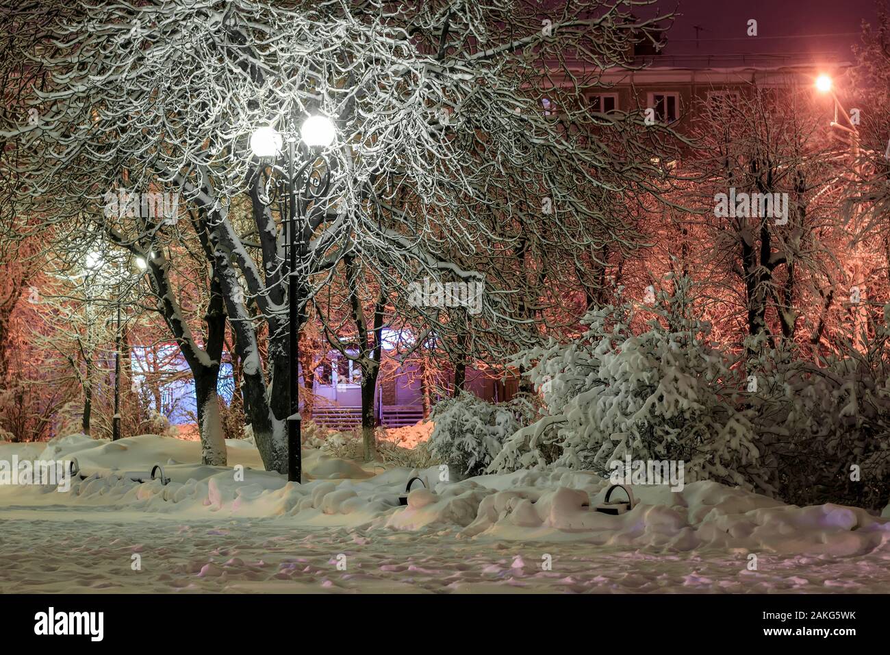 Winter park at night with decorations, lights, benches and trees Stock ...