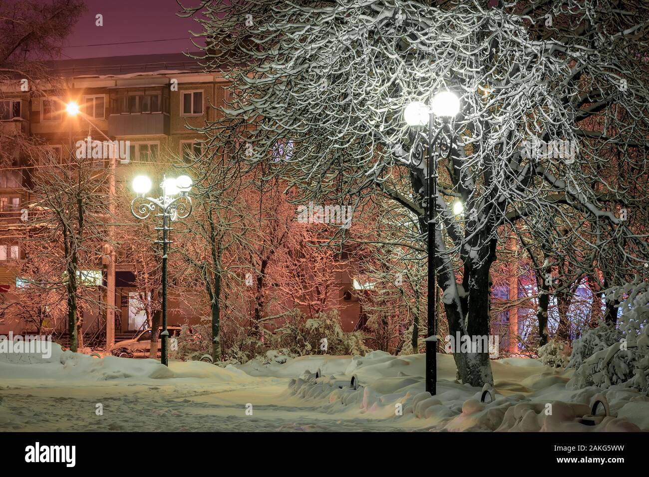 Winter park at night with decorations, lights, benches and trees Stock ...