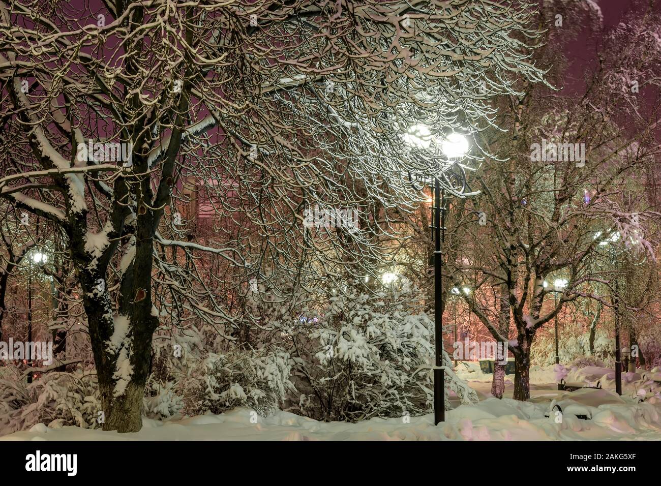Winter park at night with decorations, lights, benches and trees Stock ...