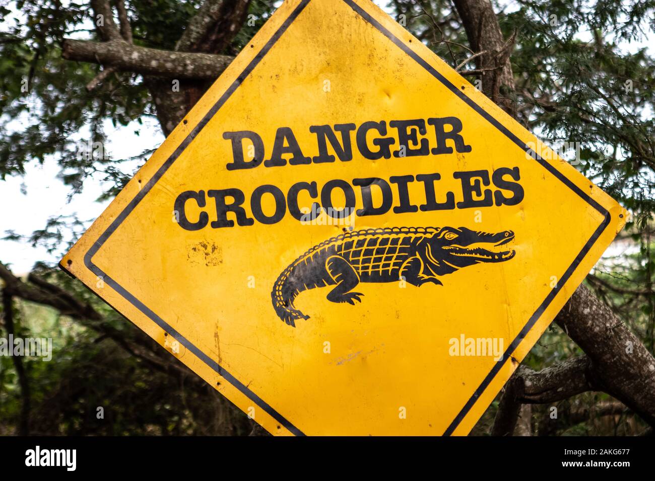 Beware crocodiles hi-res stock photography and images - Alamy