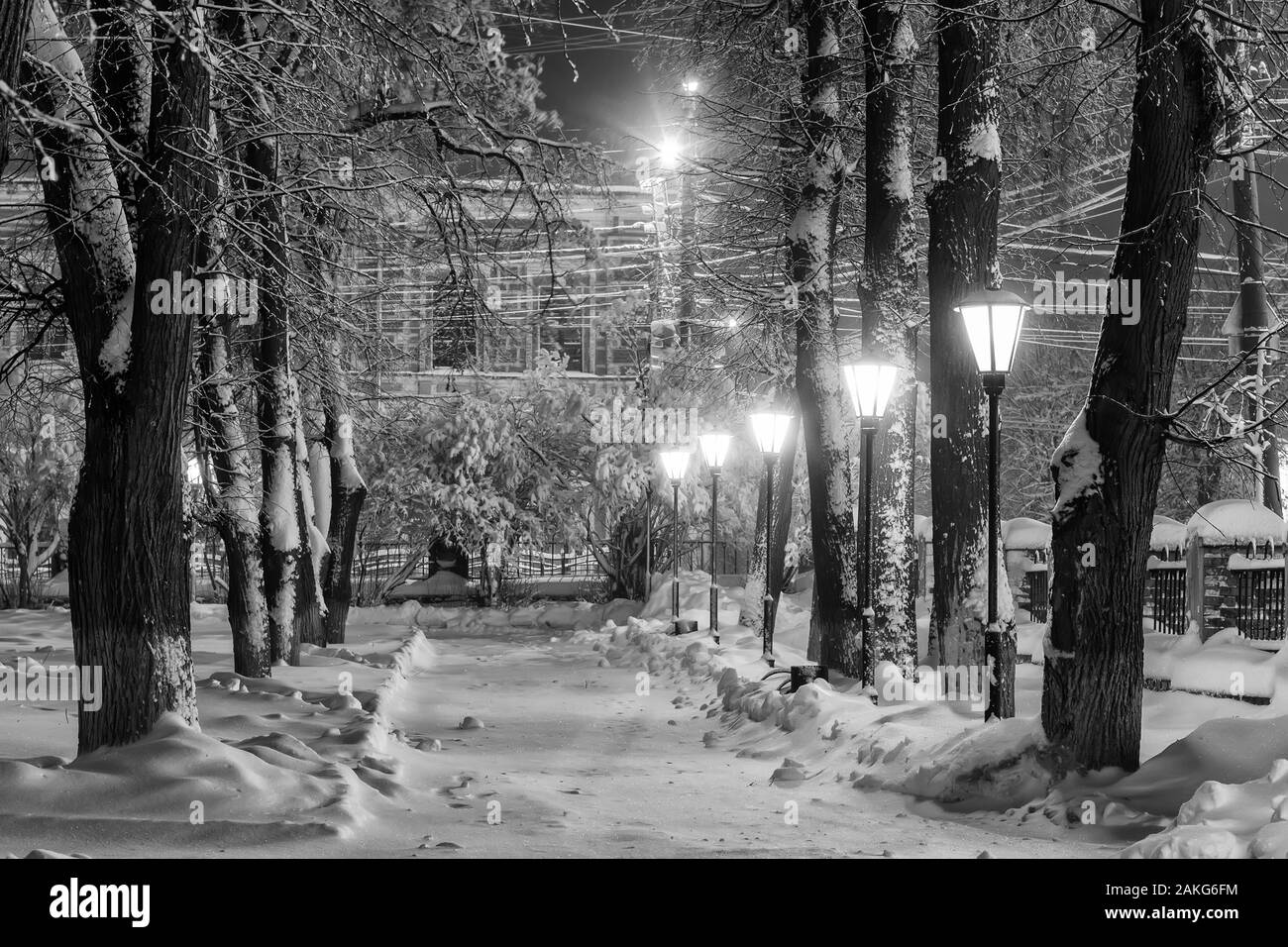 Winter park at night with decorations, lights, benches and trees ...