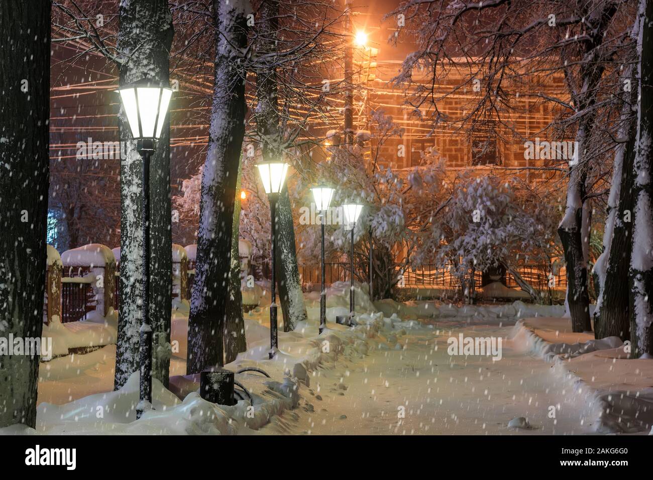 Winter park at night with decorations, lights and trees. Cityscape ...