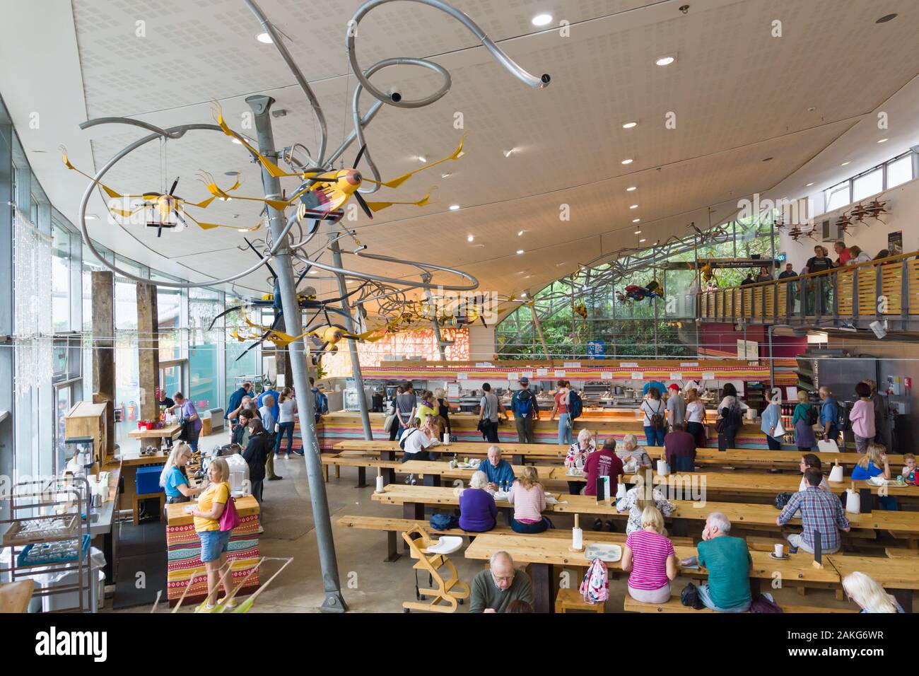 Eden project cafe hi-res stock photography and images - Alamy