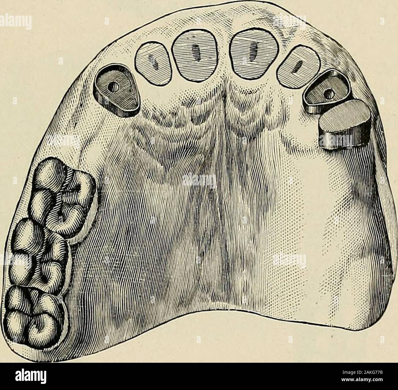 Giving a nutmeg hi-res stock photography and images - Alamy