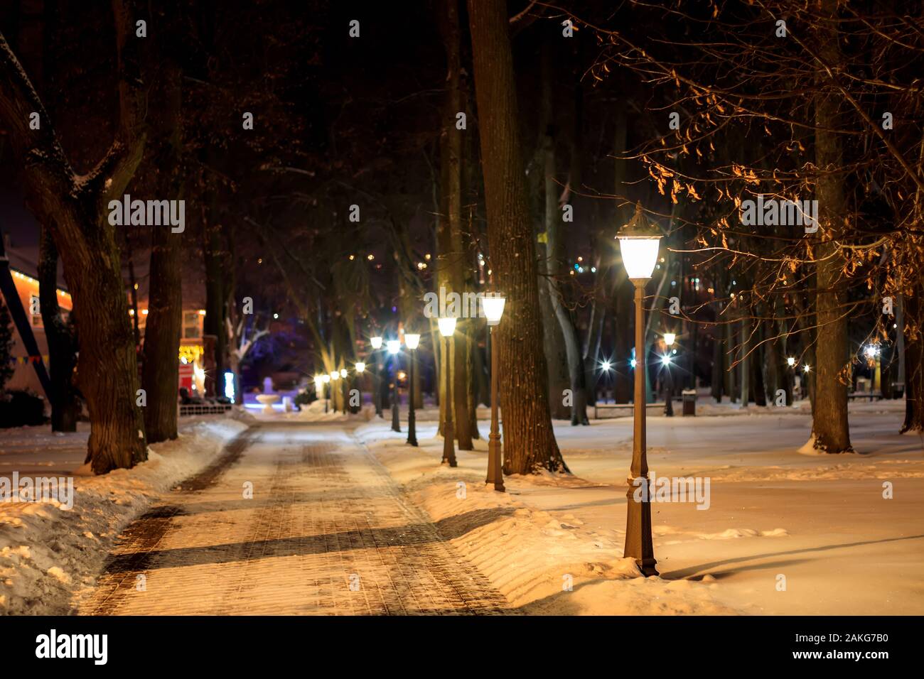 Winter park at night with decorations, lights, benches and trees Stock ...