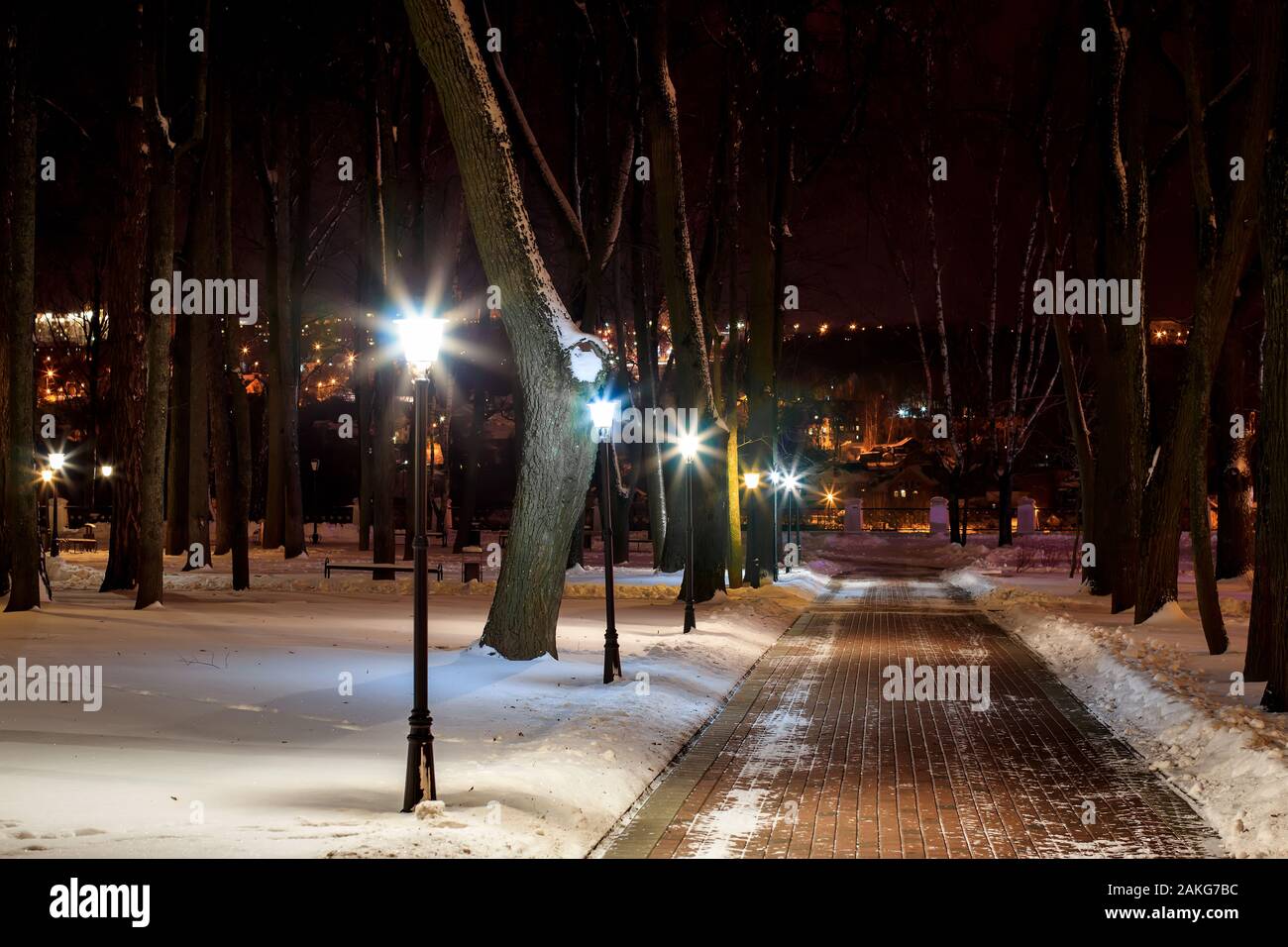 Winter park at night with decorations, lights, benches and trees Stock ...