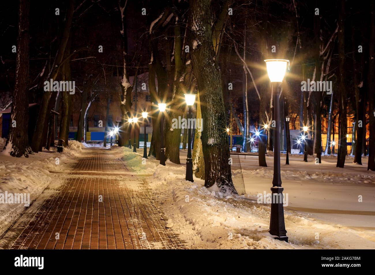 Winter park at night with decorations, lights, benches and trees Stock ...