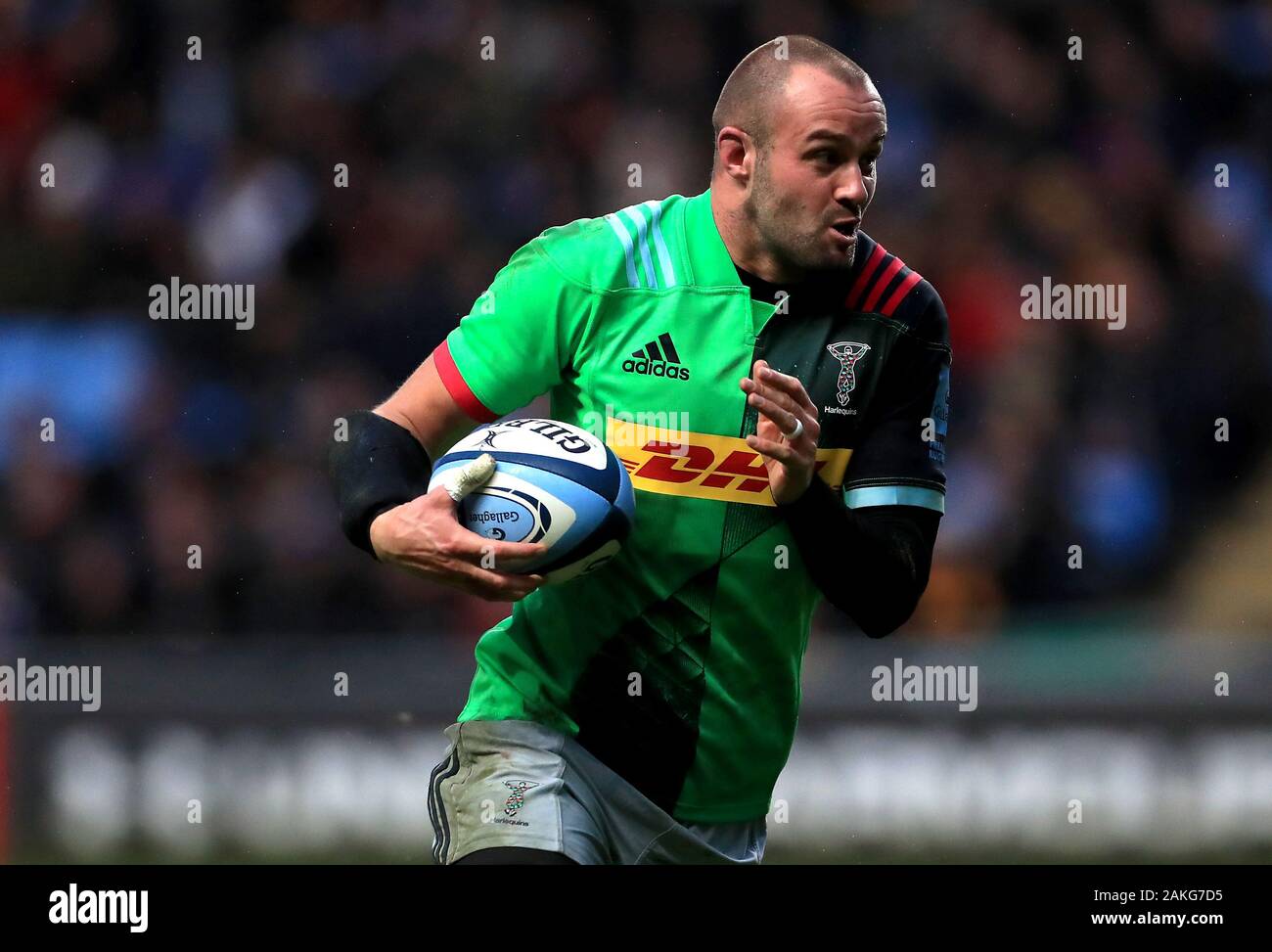 Harlequins Ross Chisholm High Resolution Stock Photography and Images ...