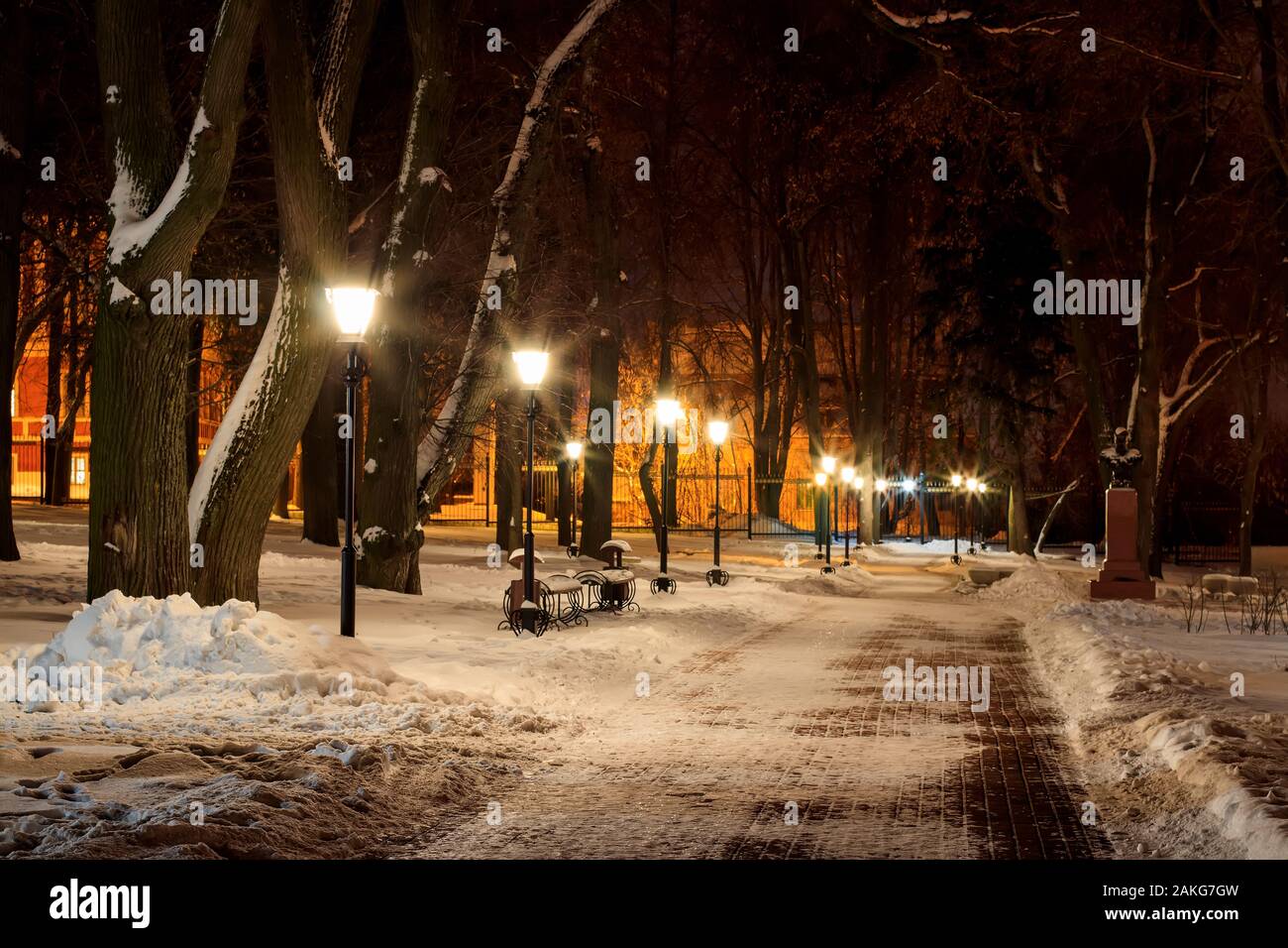 Winter park at night with decorations, lights, benches and trees Stock ...