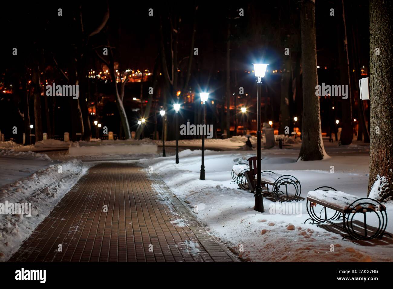 Winter park at night with decorations, lights, benches and trees Stock ...