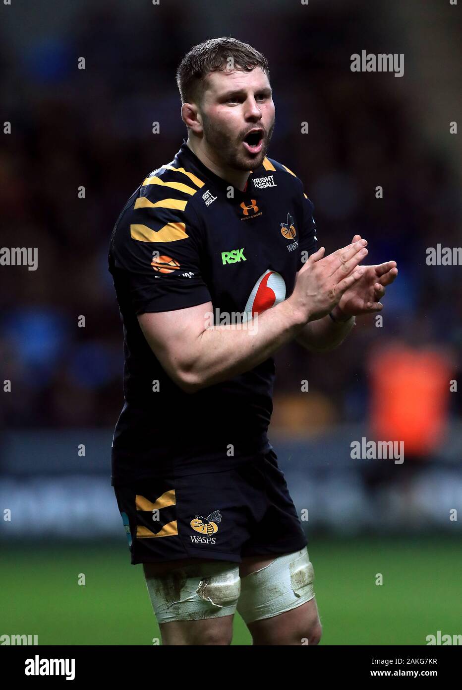 Thomas young wasps hi-res stock photography and images - Alamy