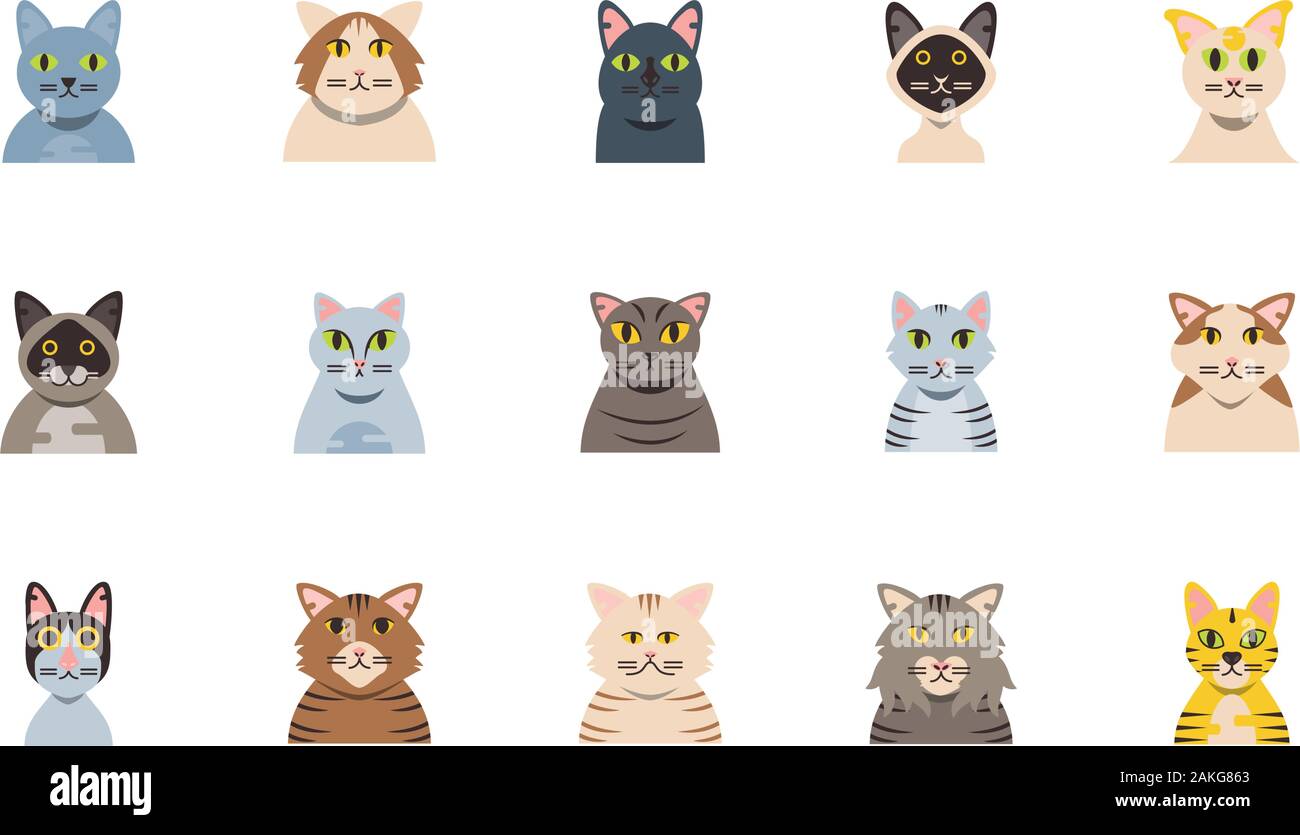 Set of cute cats cartoons design, Animal pet kitten domestic feline ...