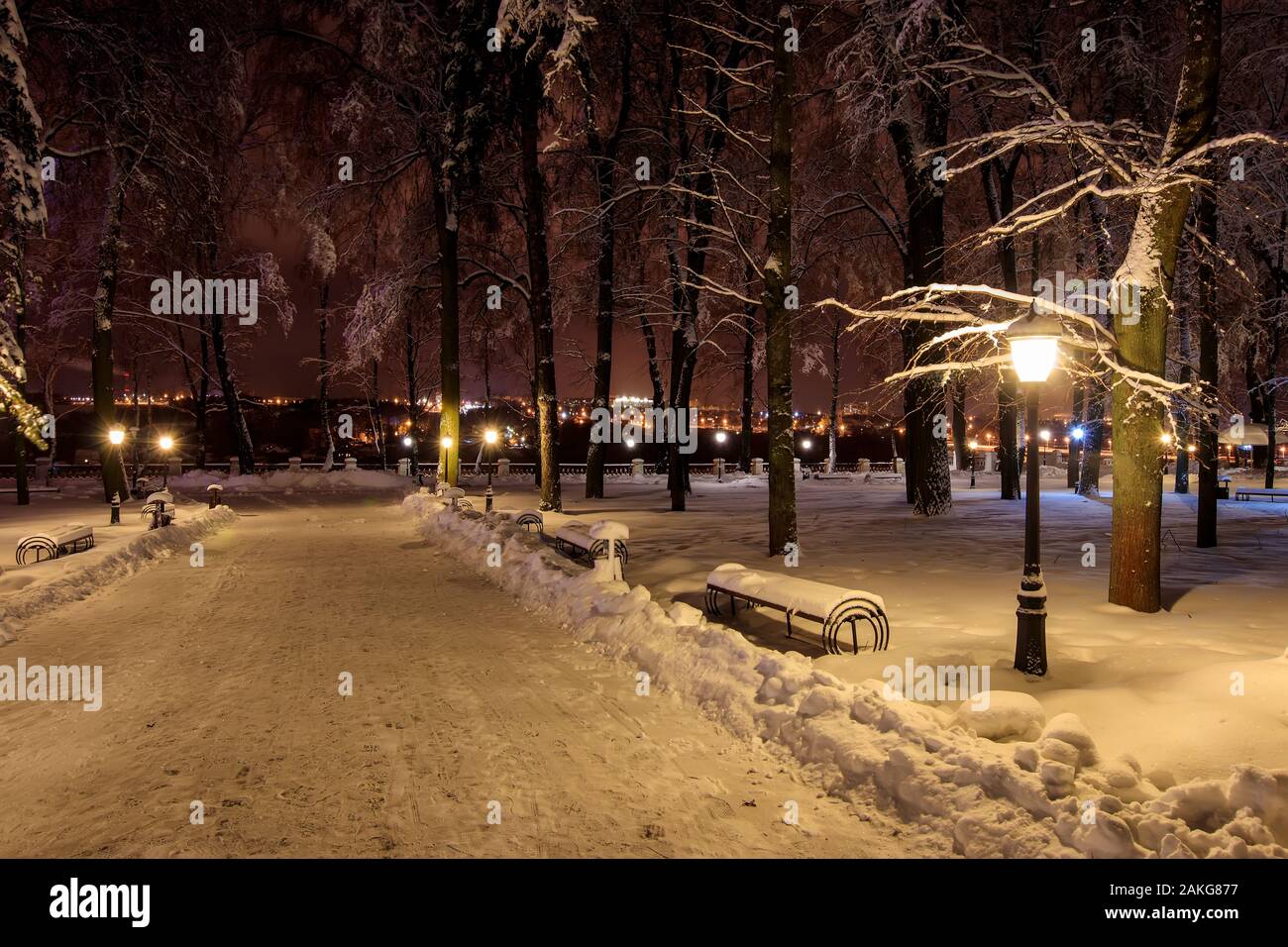 Winter park at night with decorations, lights, benches and trees Stock ...