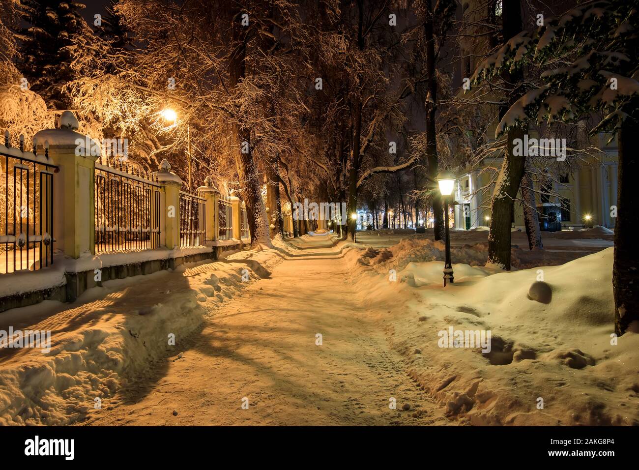 Winter park at night with decorations, lights, benches and trees Stock ...