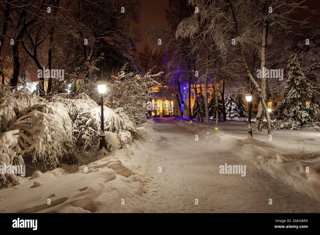 Winter park at night with decorations, lights, benches and trees Stock ...