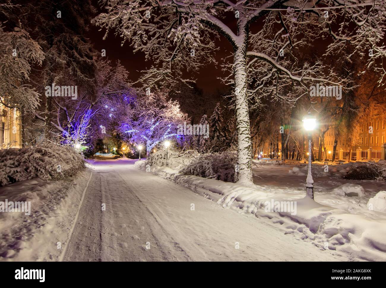 Winter park at night with decorations, lights, benches and trees Stock ...
