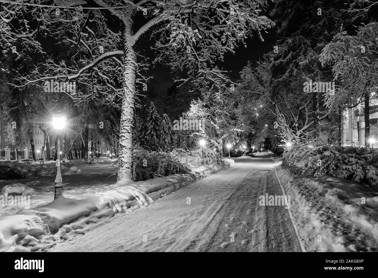 Winter park at night with decorations, lights, benches and trees Stock ...