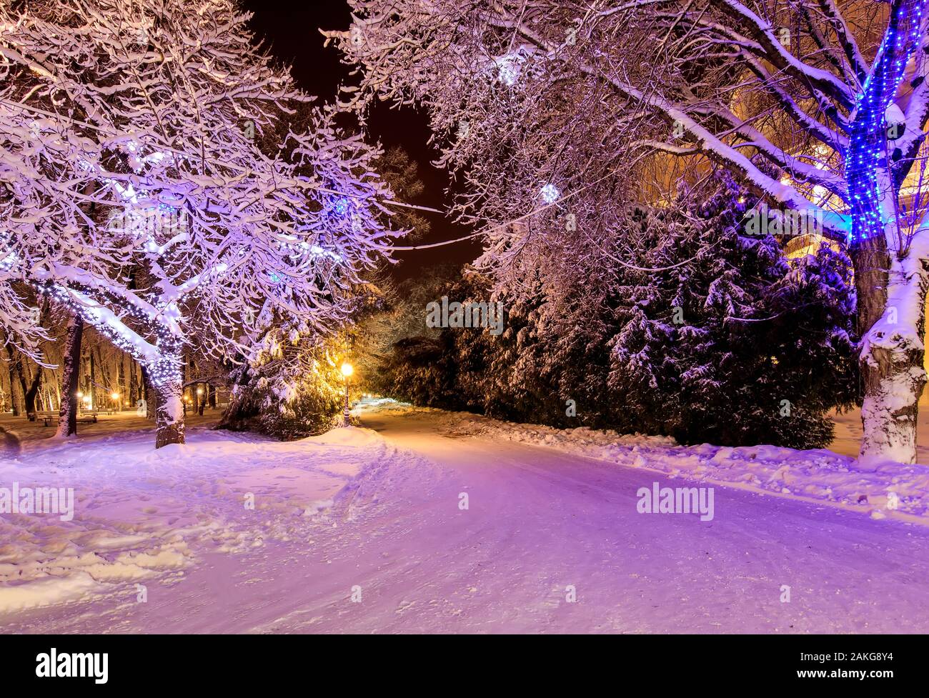 Winter park at night with decorations, lights, benches and trees Stock ...