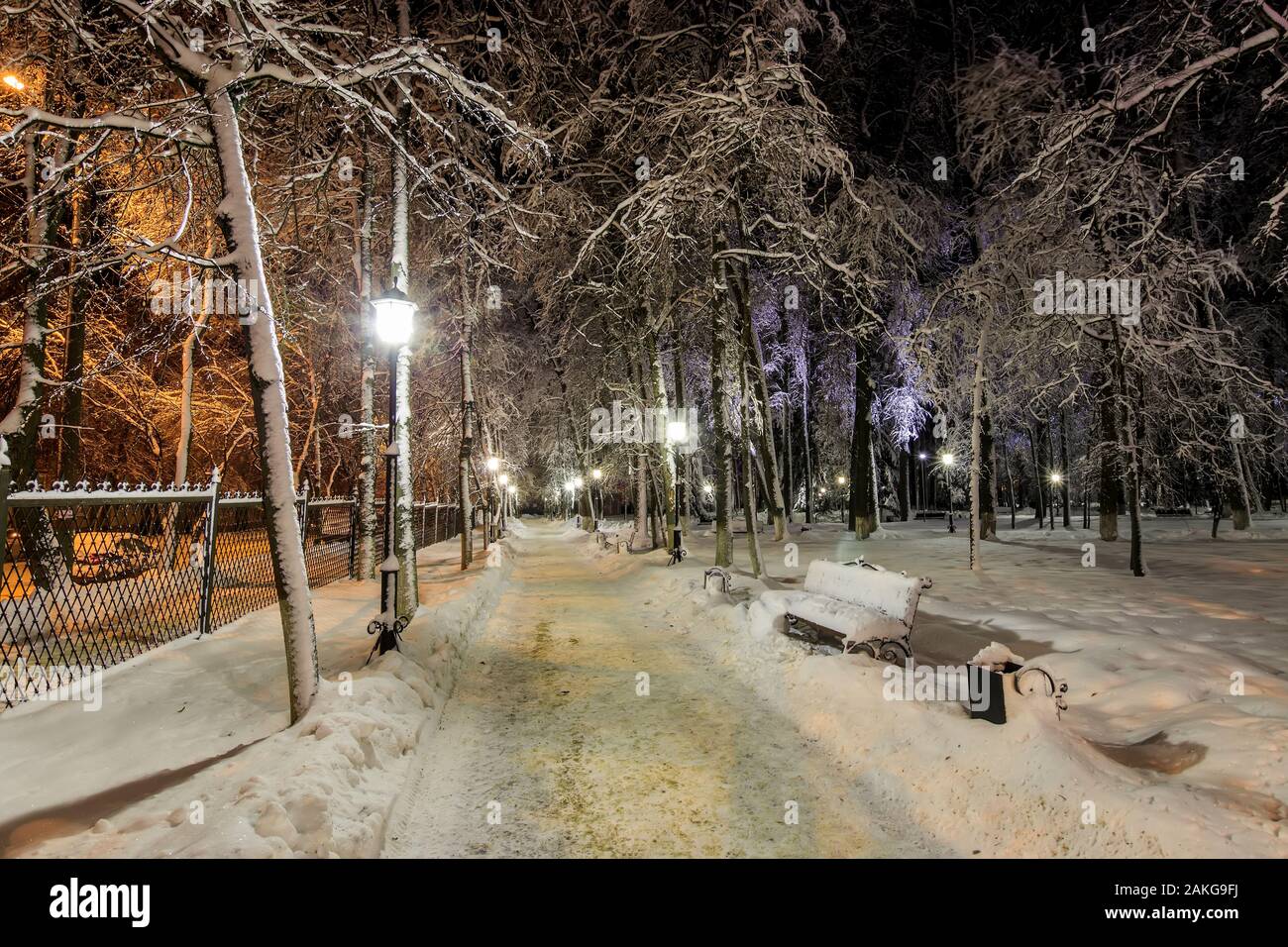 Winter park at night with decorations, lights, benches and trees ...