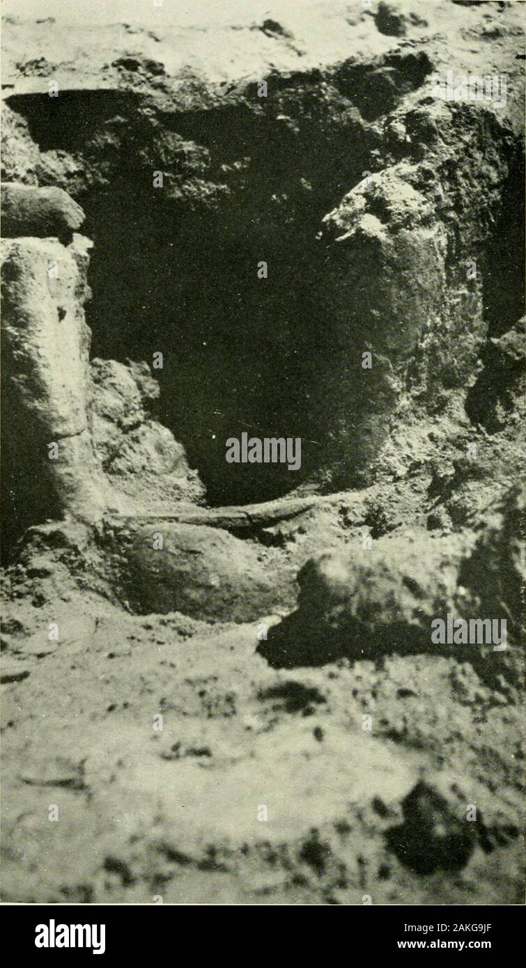 Expeditions organized or participated in by the Smithsonian Institution ...