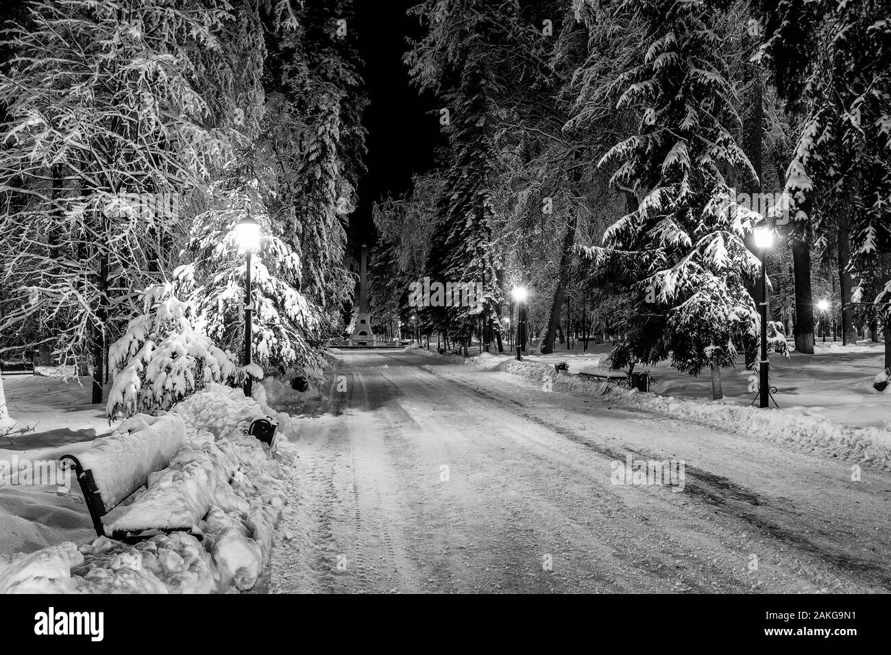 Winter park at night with decorations, lights, benches and trees ...