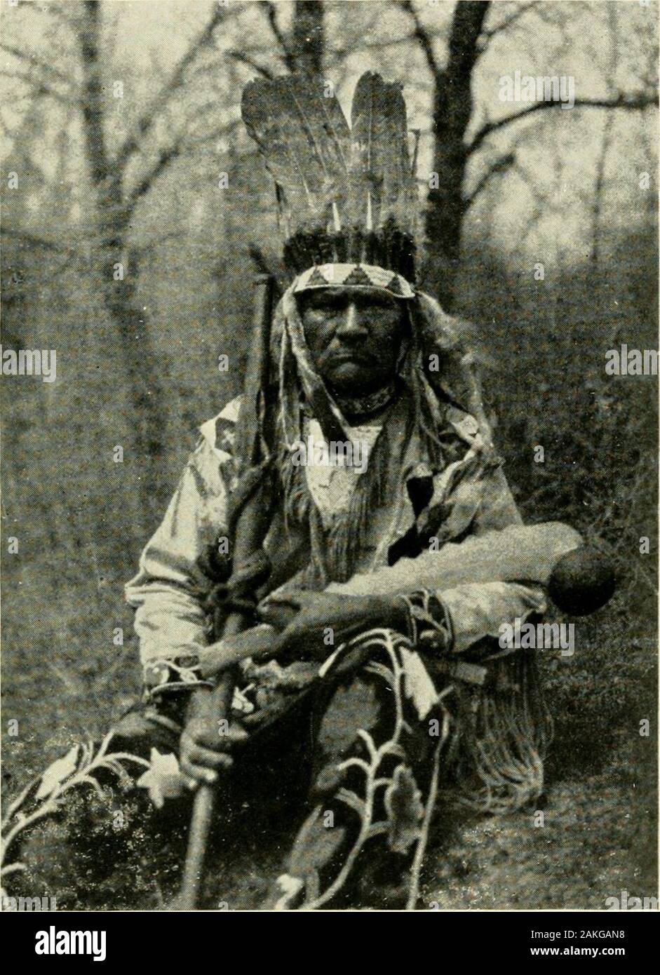 Long sloping forehead hi-res stock photography and images - Alamy