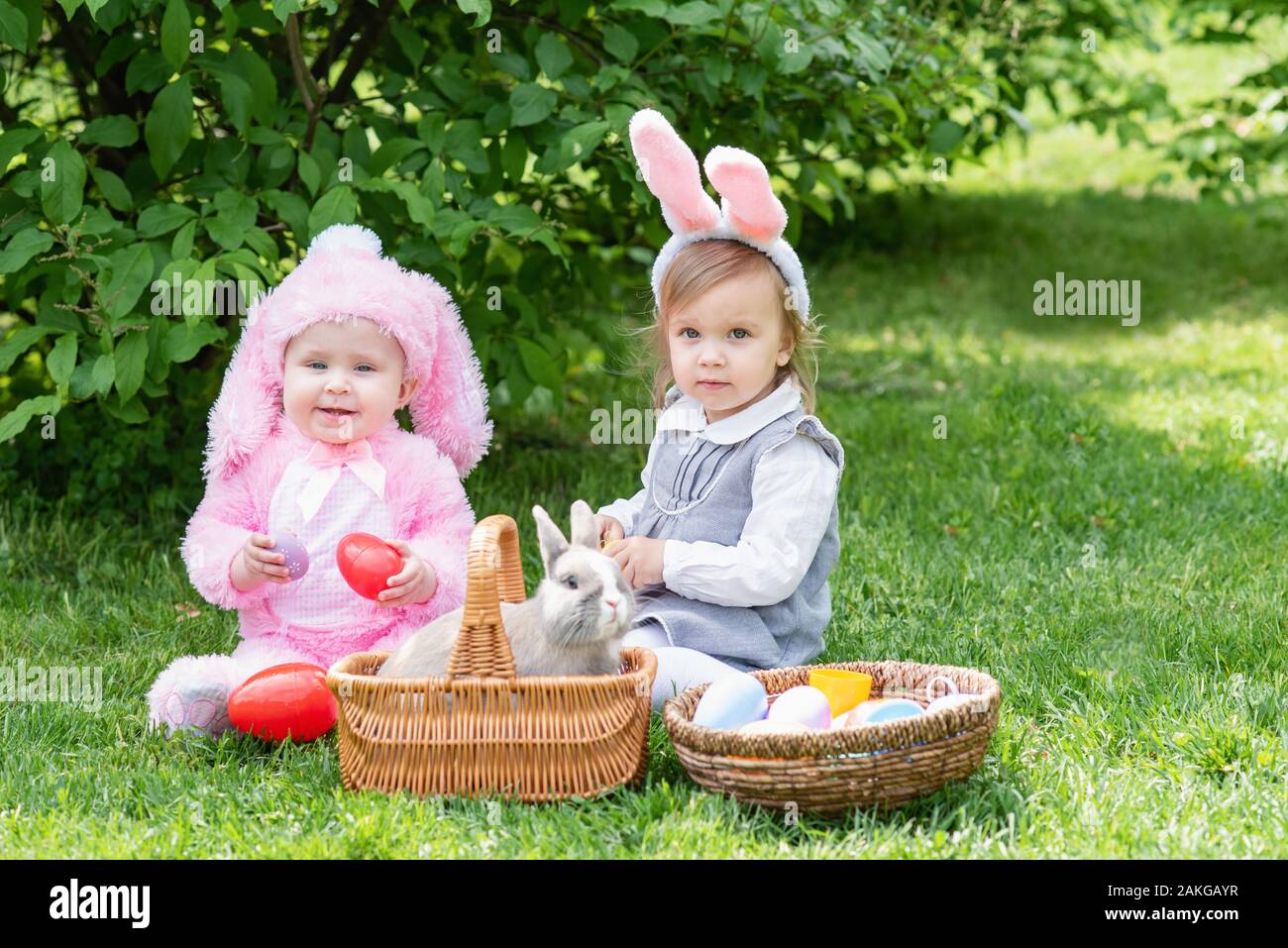 Real rabbit chocolate hi-res stock photography and images - Alamy