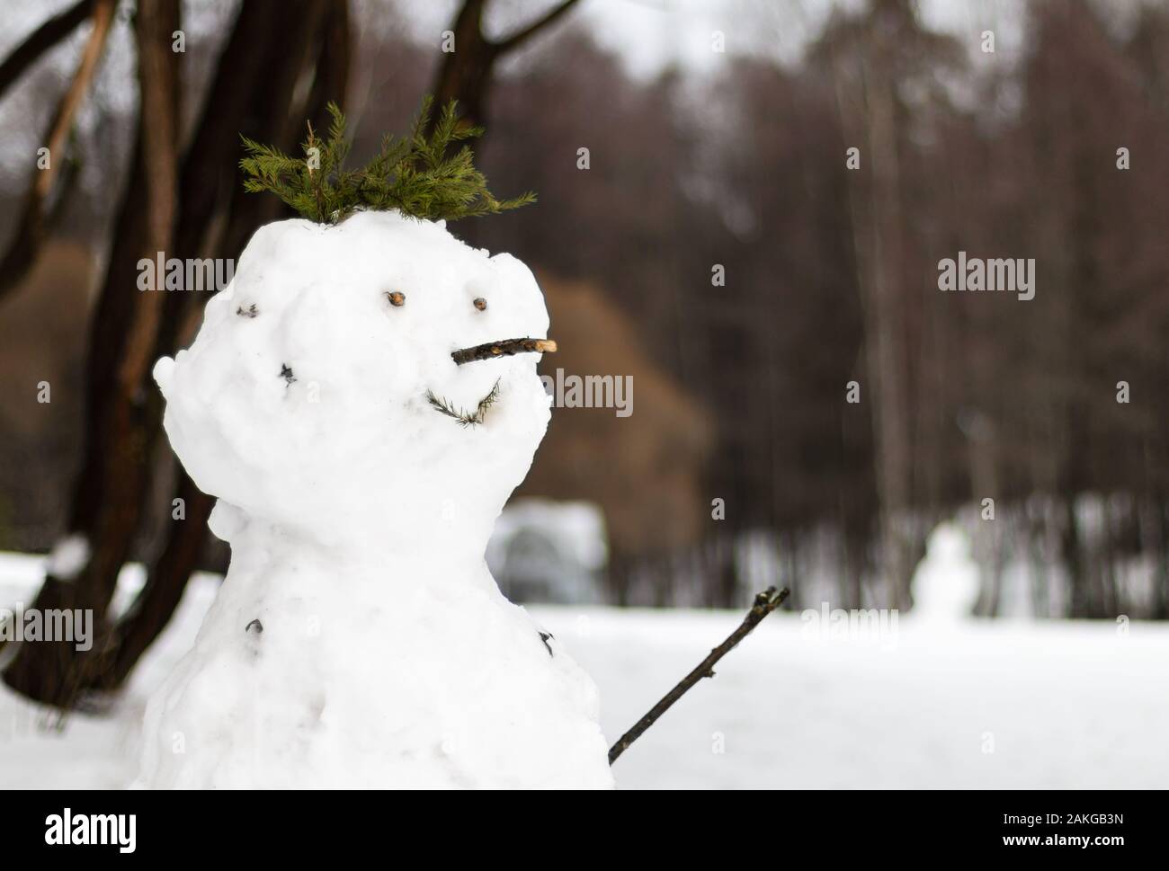 Snowman Nose Pattern