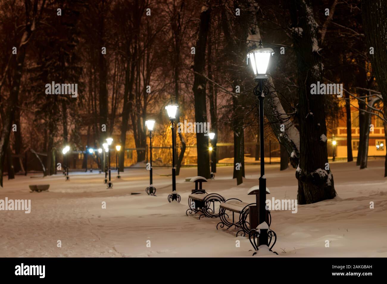 Winter park at night with decorations, lights, benches and trees Stock ...