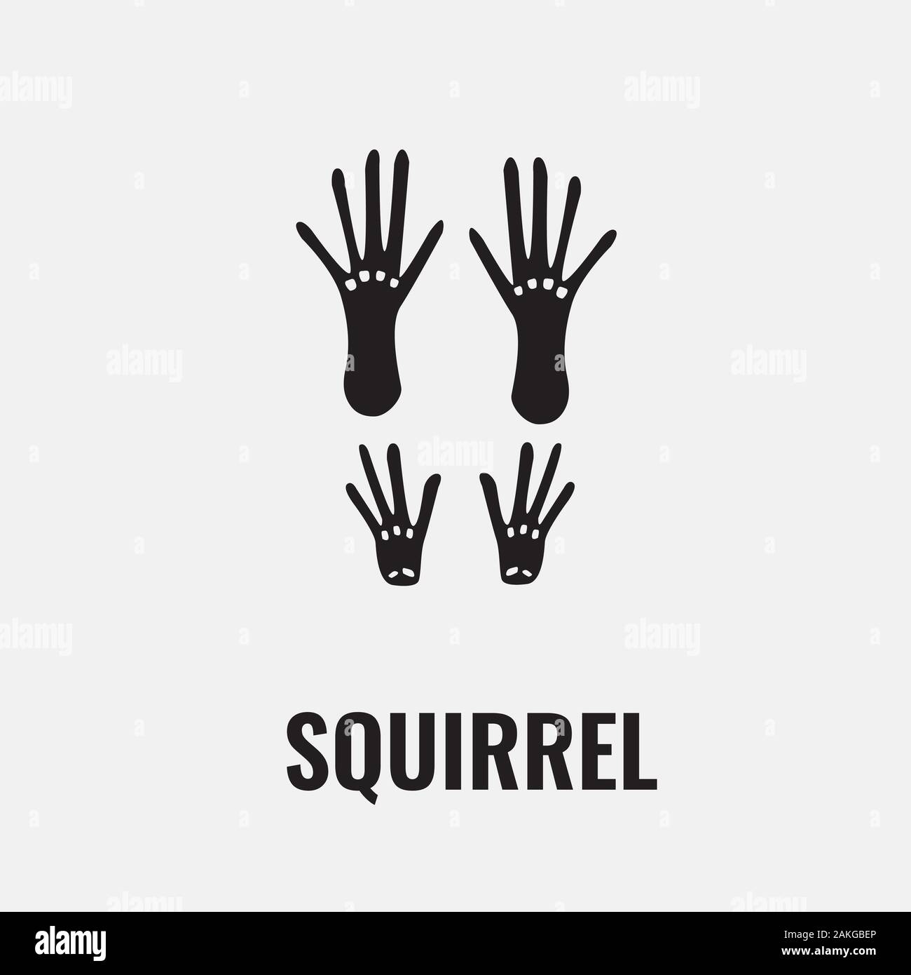 Squirrel footprint hi-res stock photography and images - Alamy