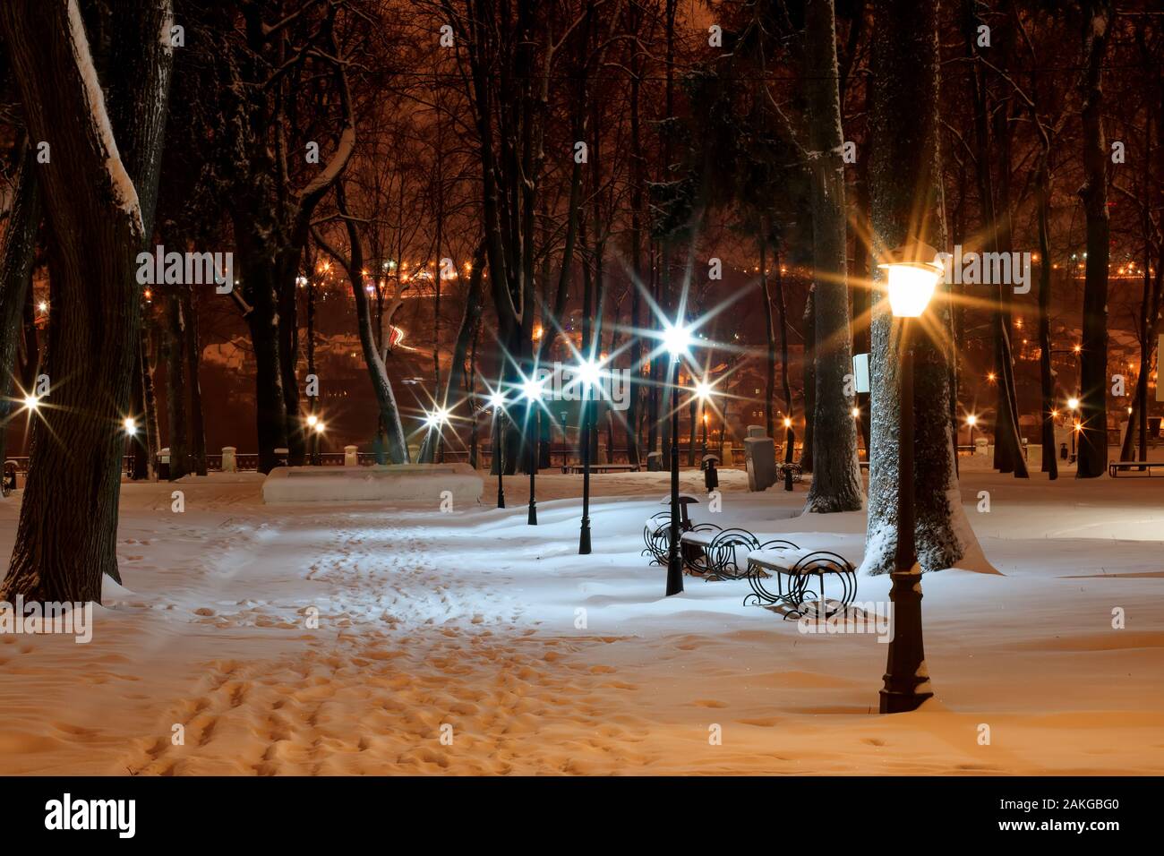 Winter park at night with decorations, lights, benches and trees Stock ...
