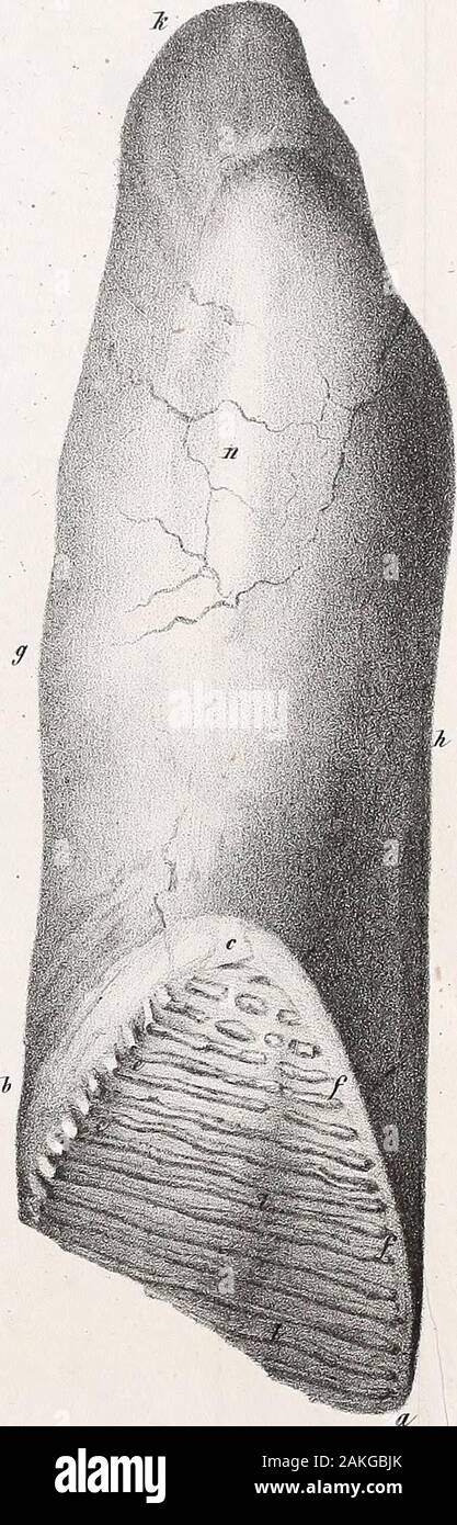 Jtc j hi-res stock photography and images - Alamy