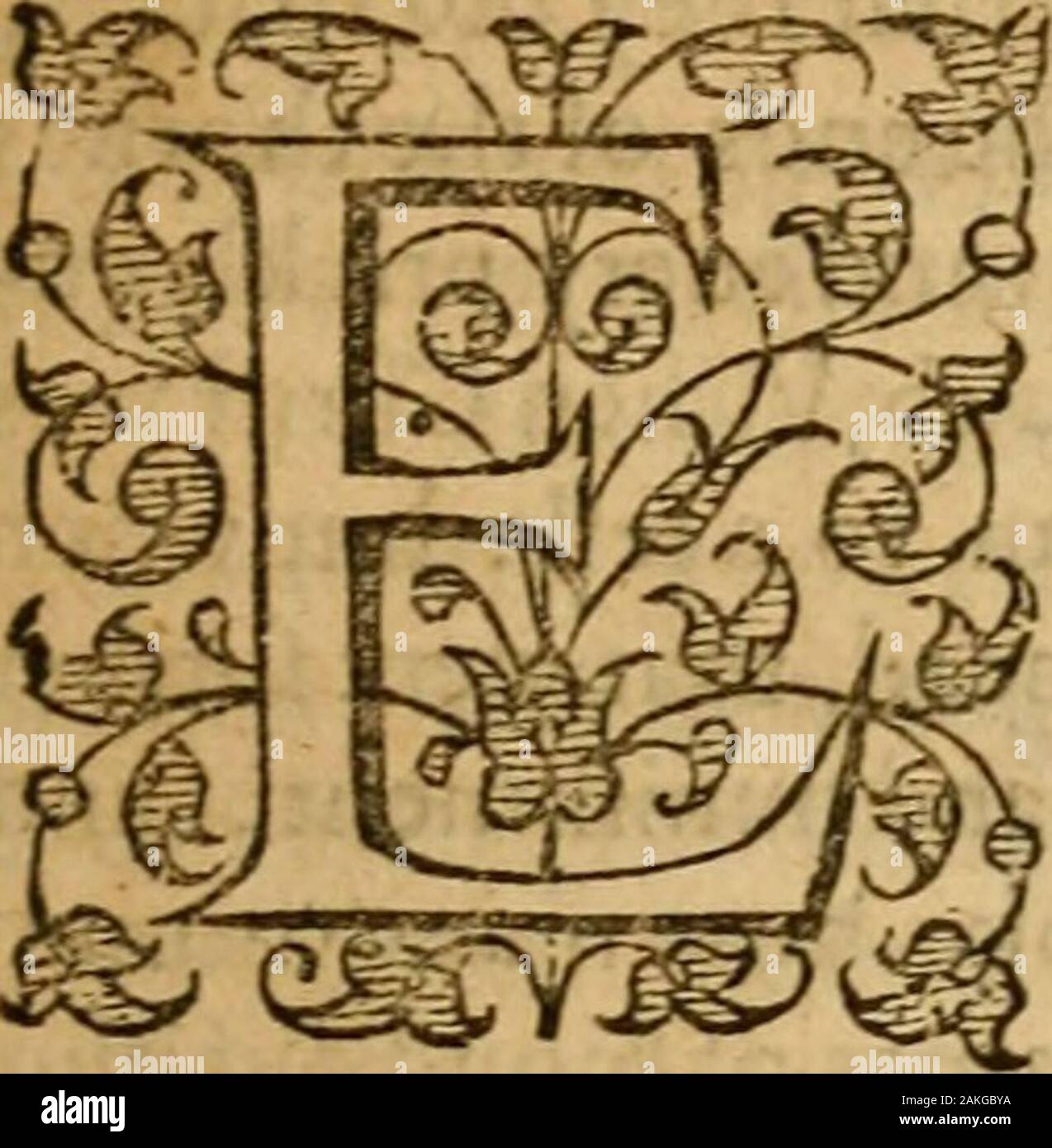 Lord barnard hi-res stock photography and images - Alamy