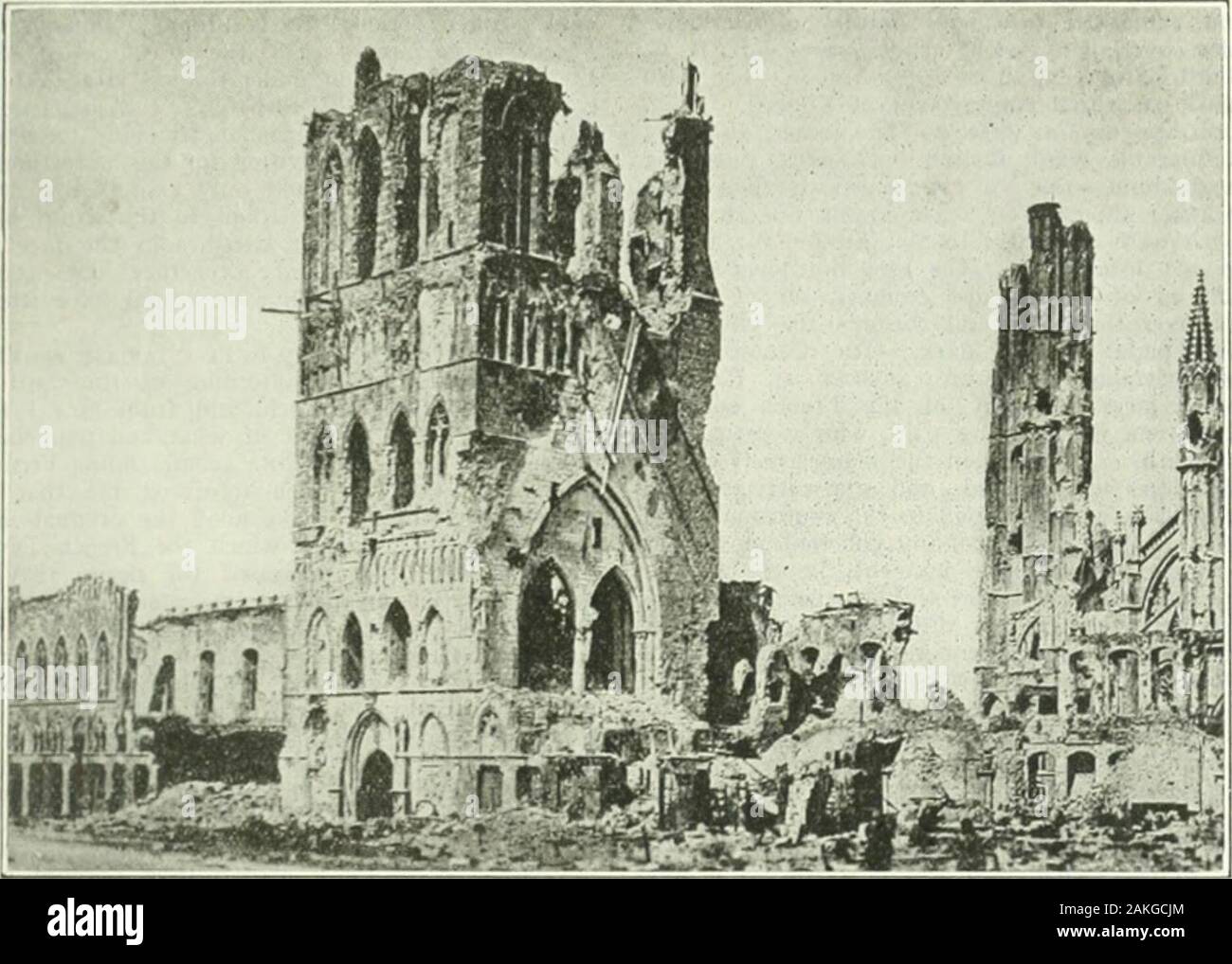 First shell representing hi-res stock photography and images - Alamy