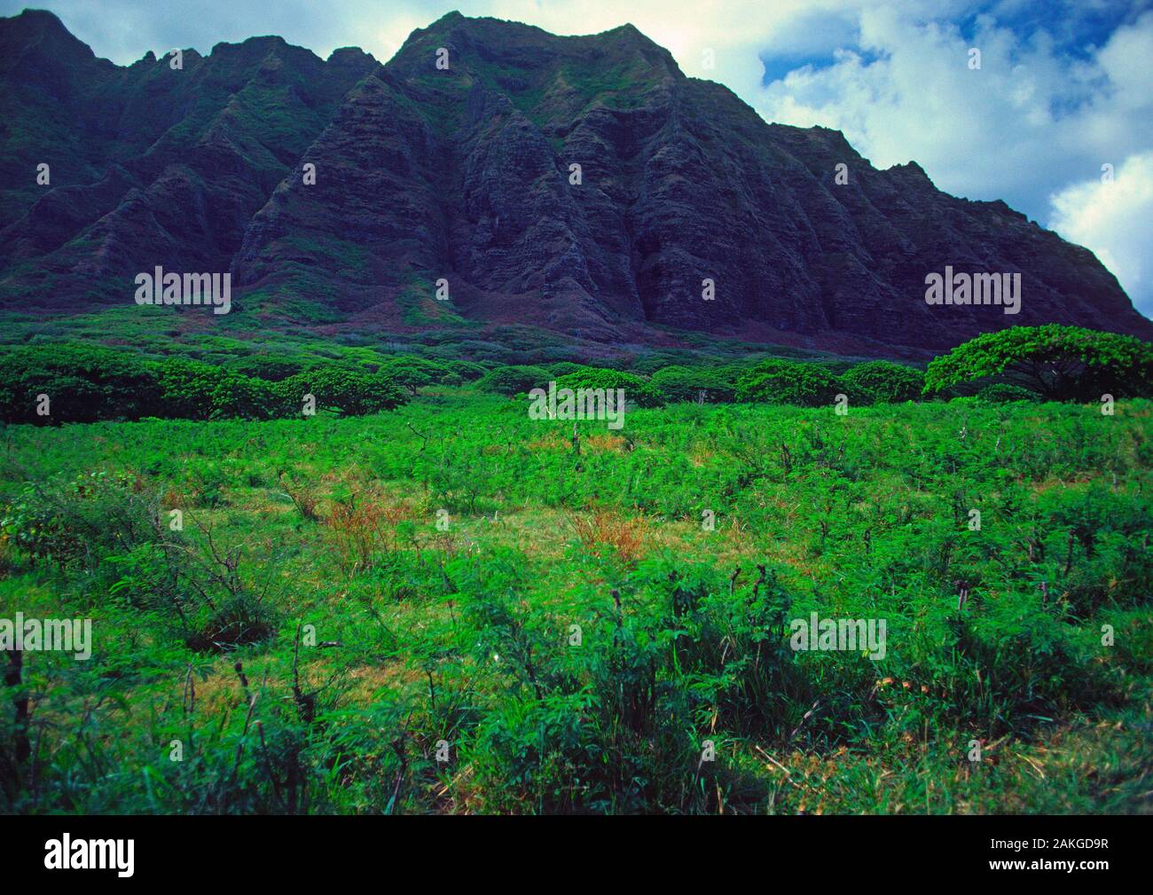 Waianae mountains hi-res stock photography and images - Alamy