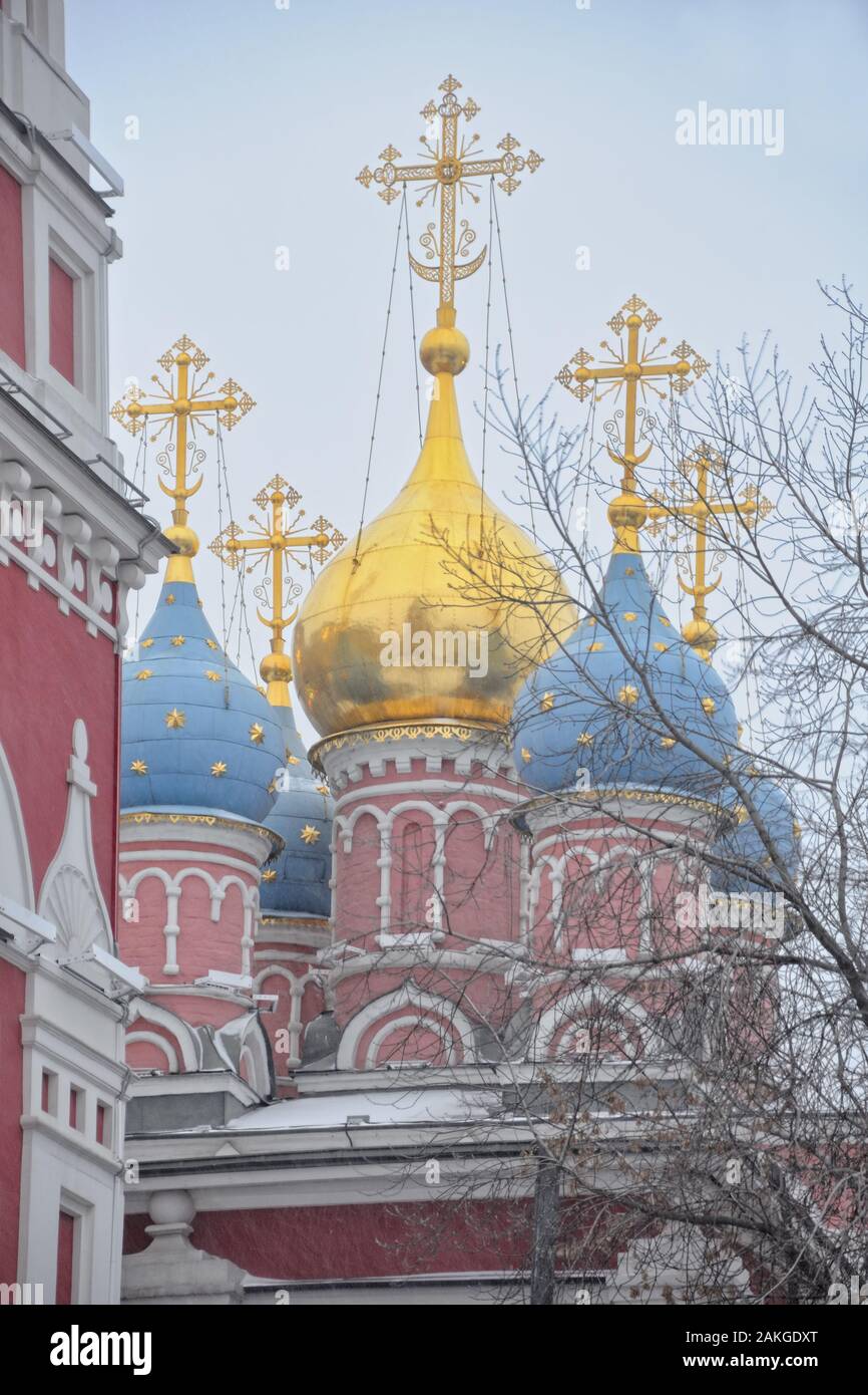 Dome shaped tree hi-res stock photography and images - Alamy