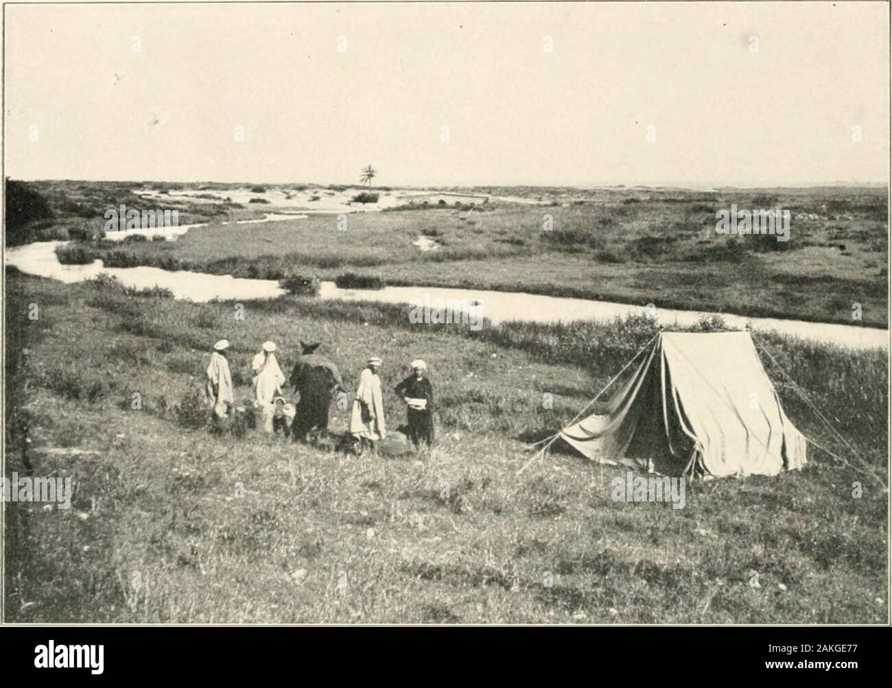 Picion hi-res stock photography and images - Alamy