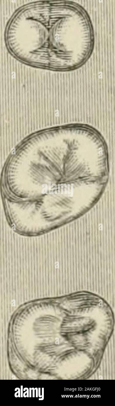 Forming stereotype plates hi-res stock photography and images - Alamy