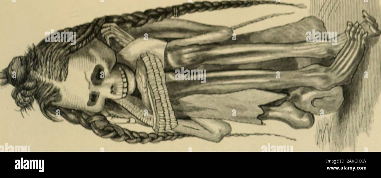 Two years in Peru : with exploration of its antiquities . aidviolent ...