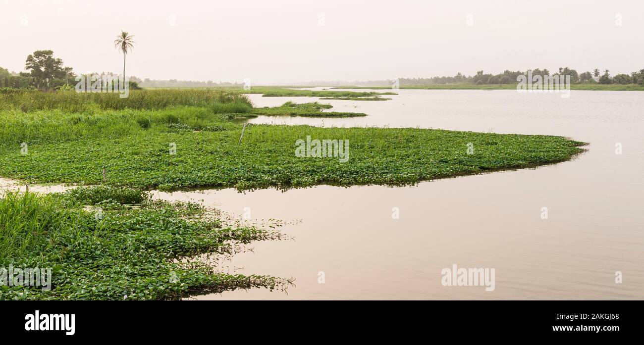 Ivory Coast, Grand Bassam, lagoon Stock Photo - Alamy