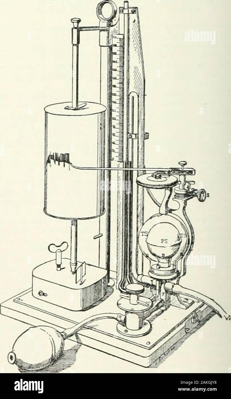 A reference handbook of the medical sciences, embracing the entire ...