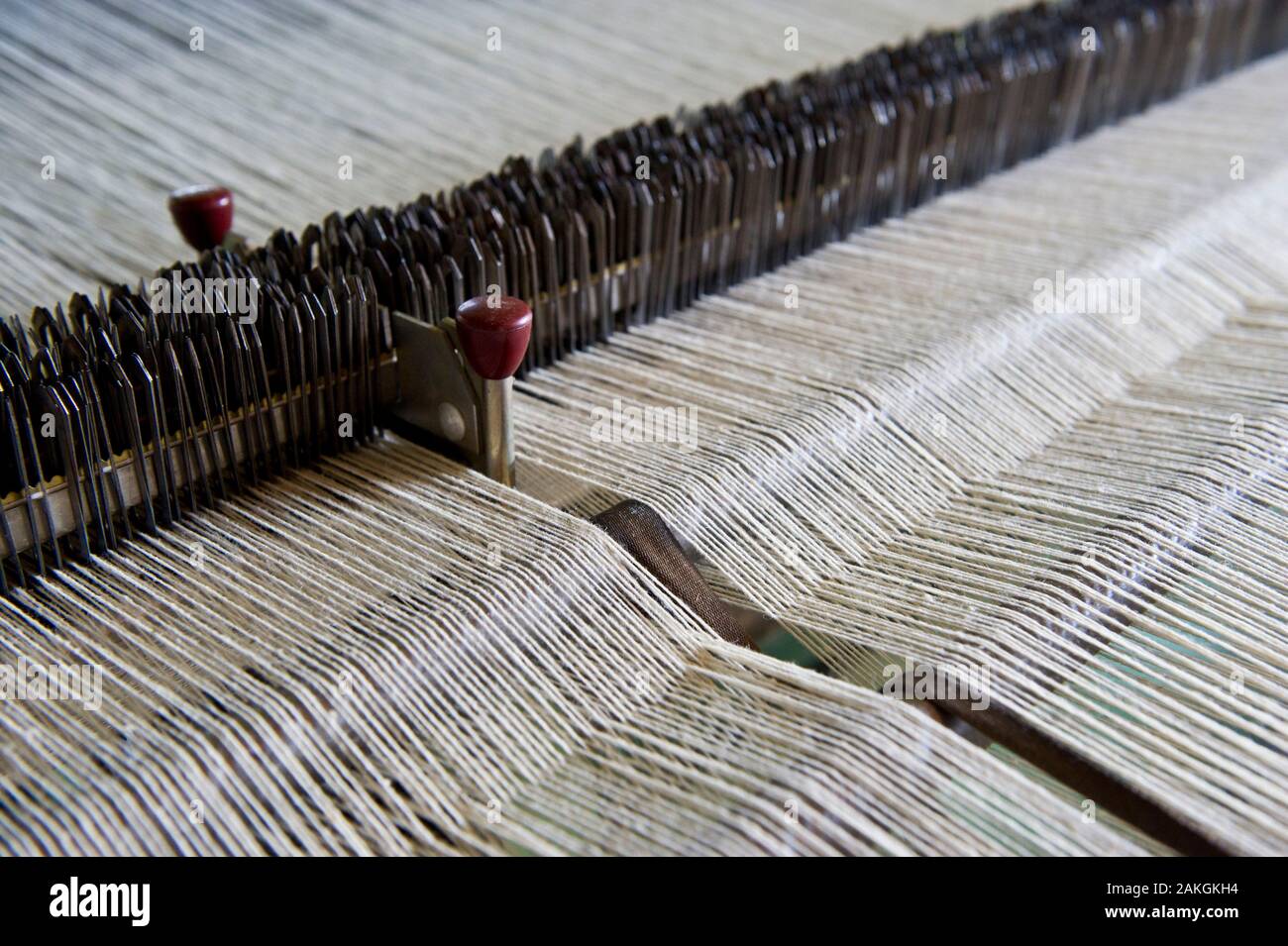France, Savoie, Seez, spinning Arpin, manufacturer of the traditional ...