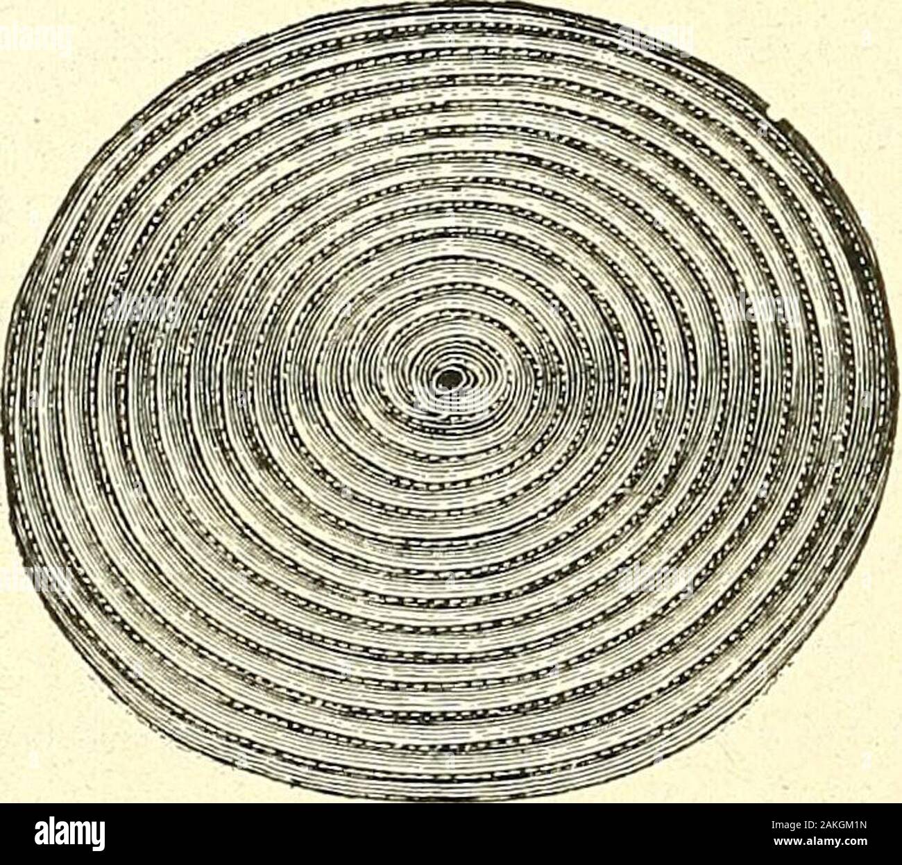 The polishing and plating of metals; a manual for the electroplater ...