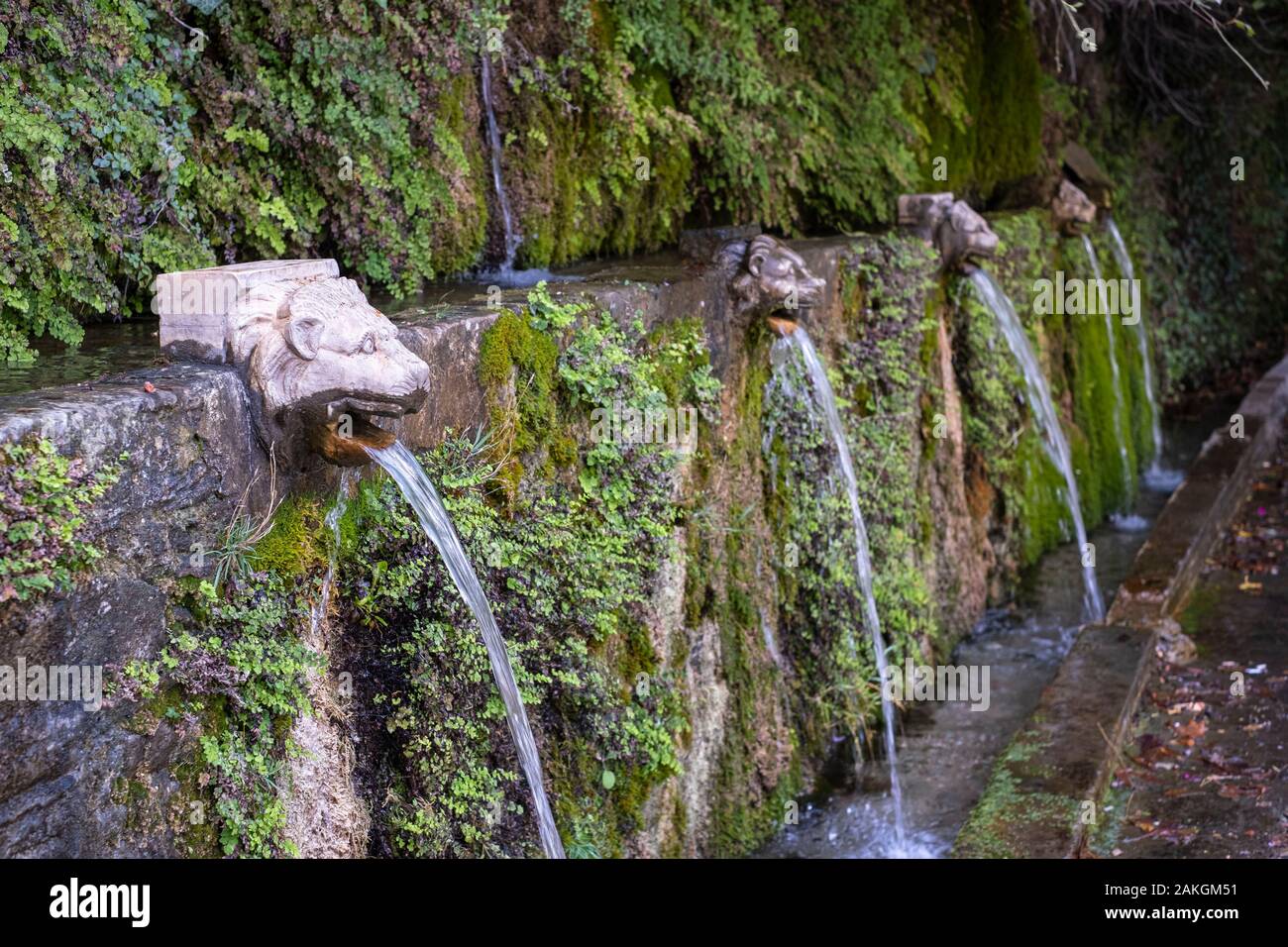 Greece, Cyclades archipelago, Andros island, Menites, marble Lion head ...