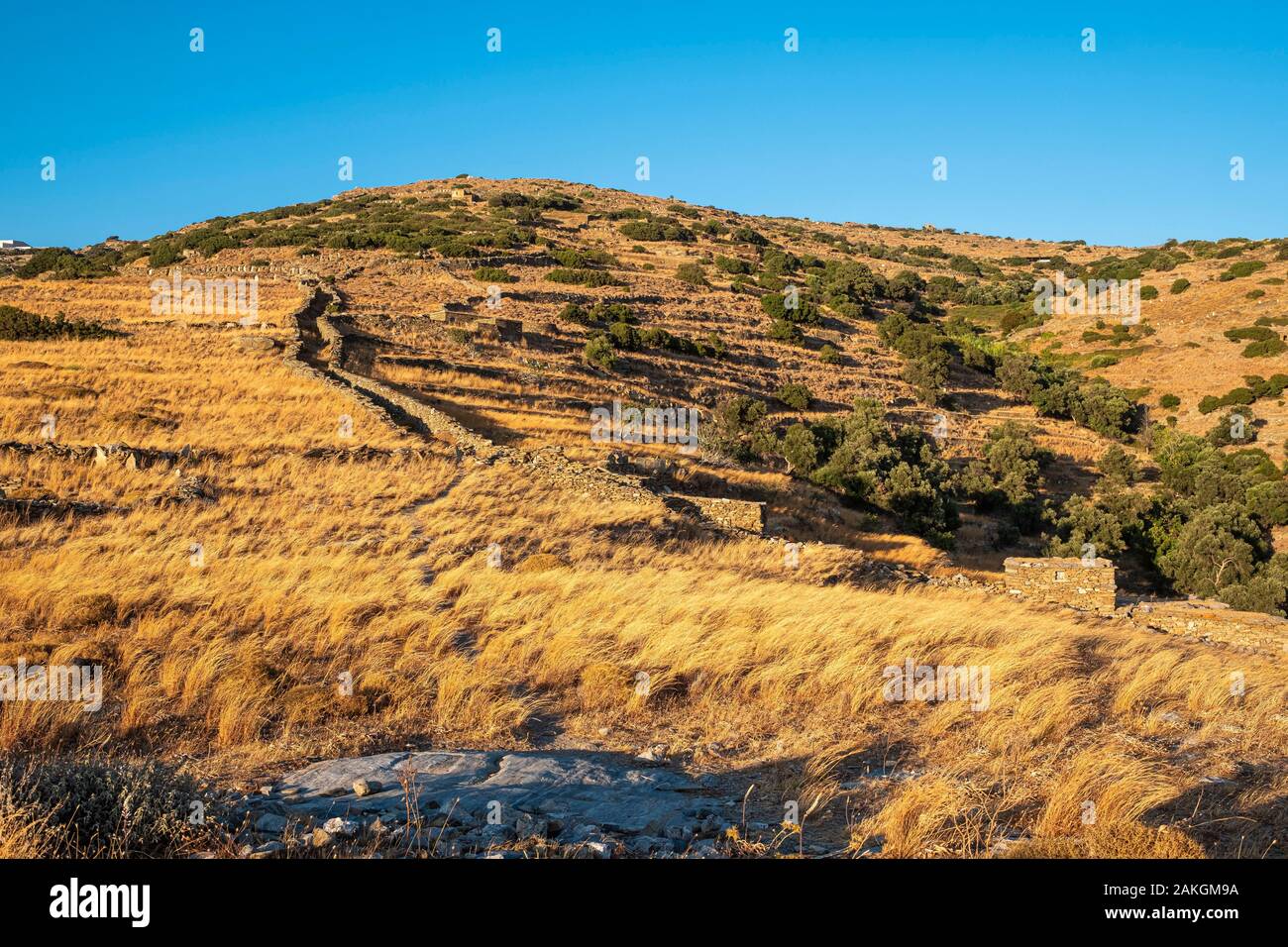 Greece, Cyclades archipelago, Andros island, Zagora archaeological site ...