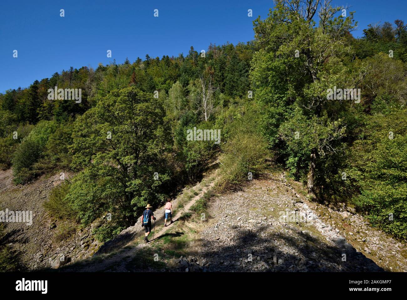 Fossard hi-res stock photography and images - Alamy