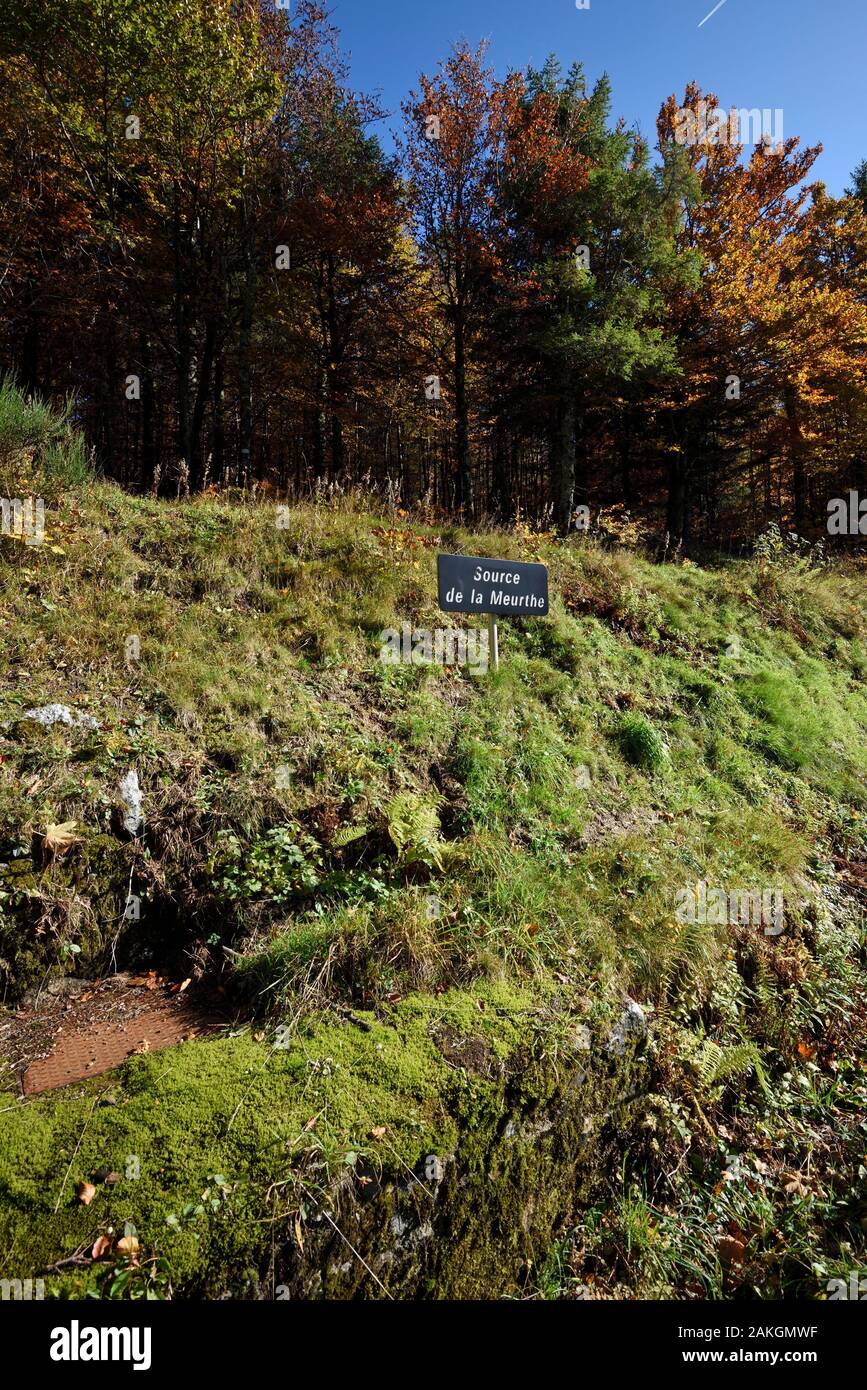 France, Vosges, Le Valtin, Hautes Vosges, Montabey, between Hohneck and ...