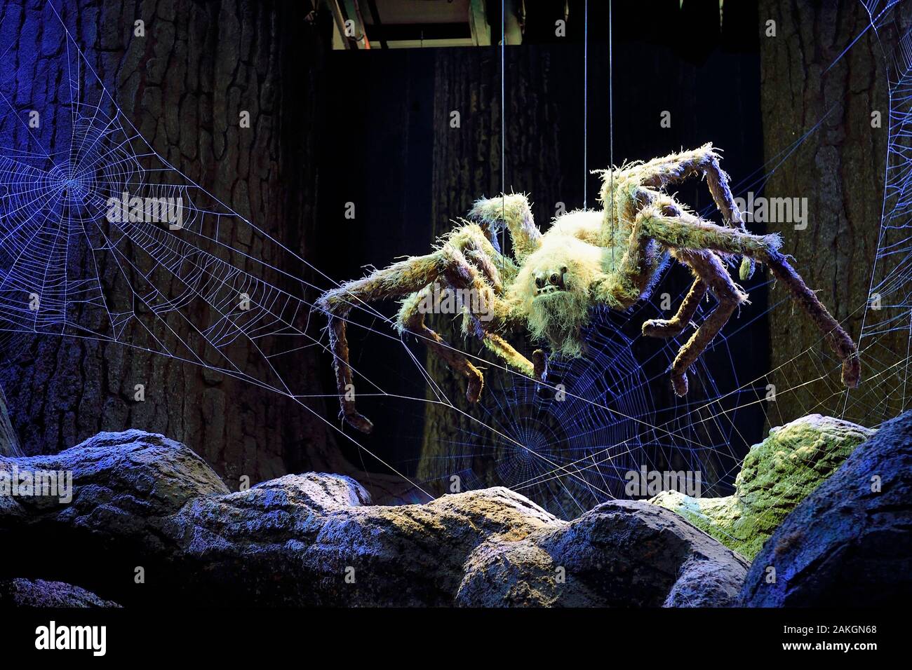 United Kingdom, Hertfordshire, Leavesden, Leavesden Film Studios, Harry ...